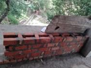 Process for Carbon Management Activity | Shoolini University