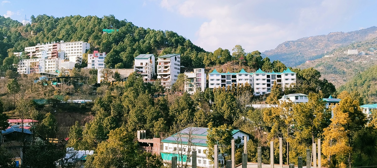 Food Technology Job Market Value - Shoolini University