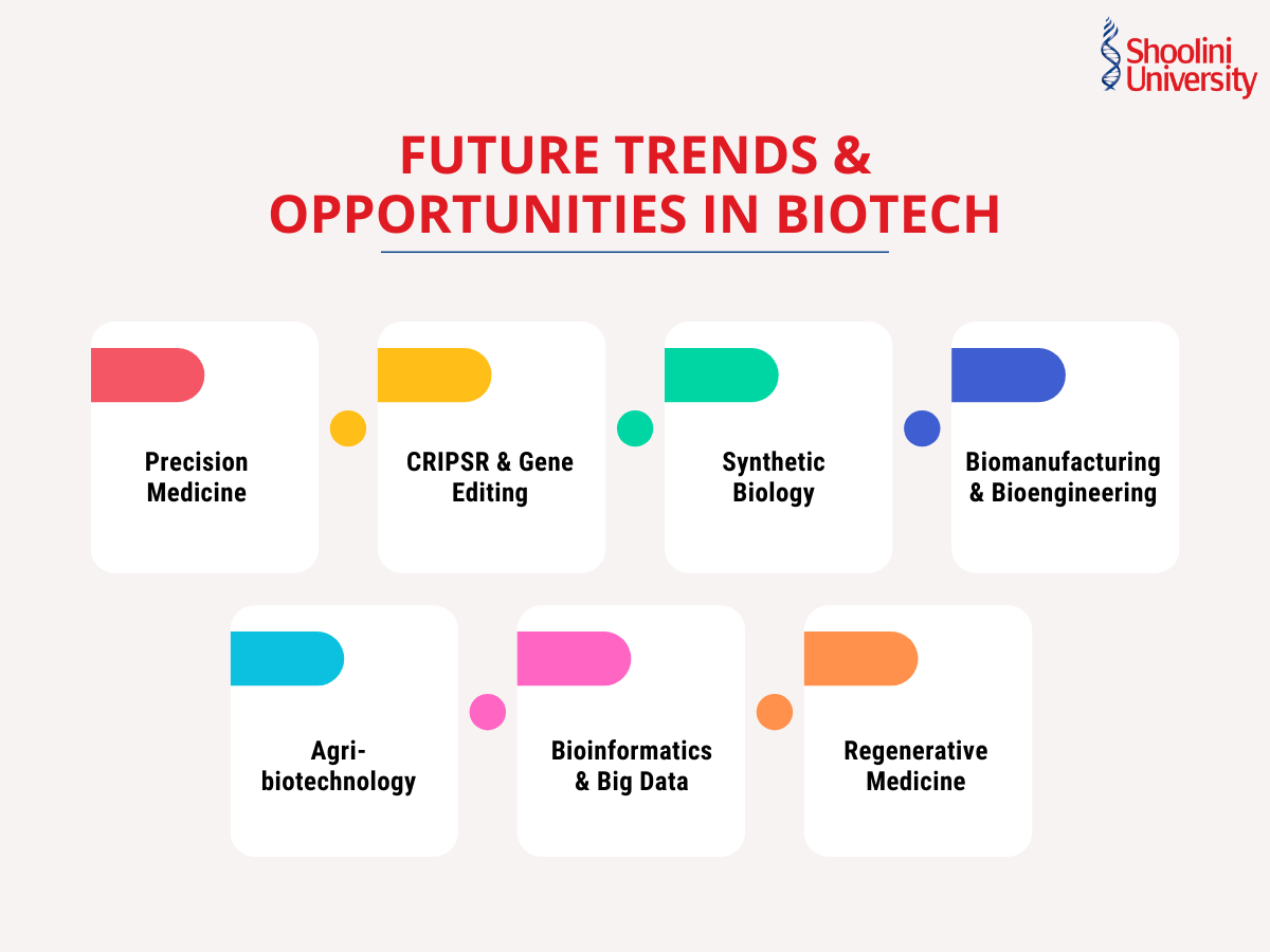 Job Market Value of B Tech Biotechnology Course in India - Shoolini ...