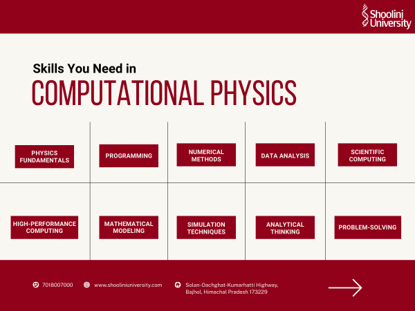 How Computational Physics Is Shaping Modern Science - Shoolini University