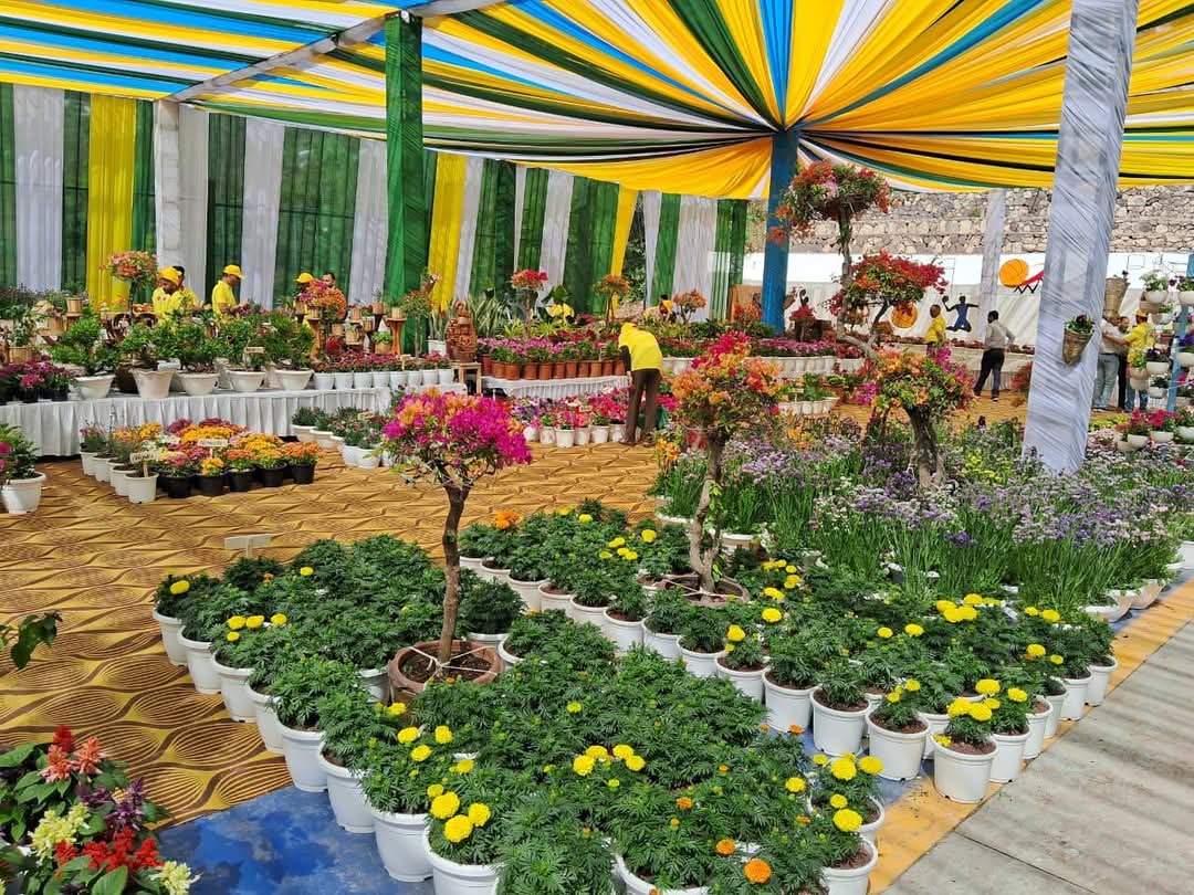 12th Flower Fest Blooms with Beauty and Sustainability