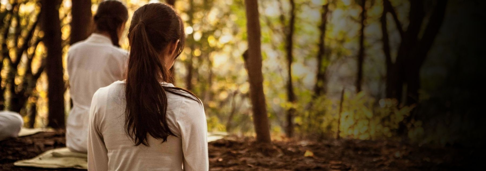 MSc Yoga Therapy at Shoolini University | Apply Now